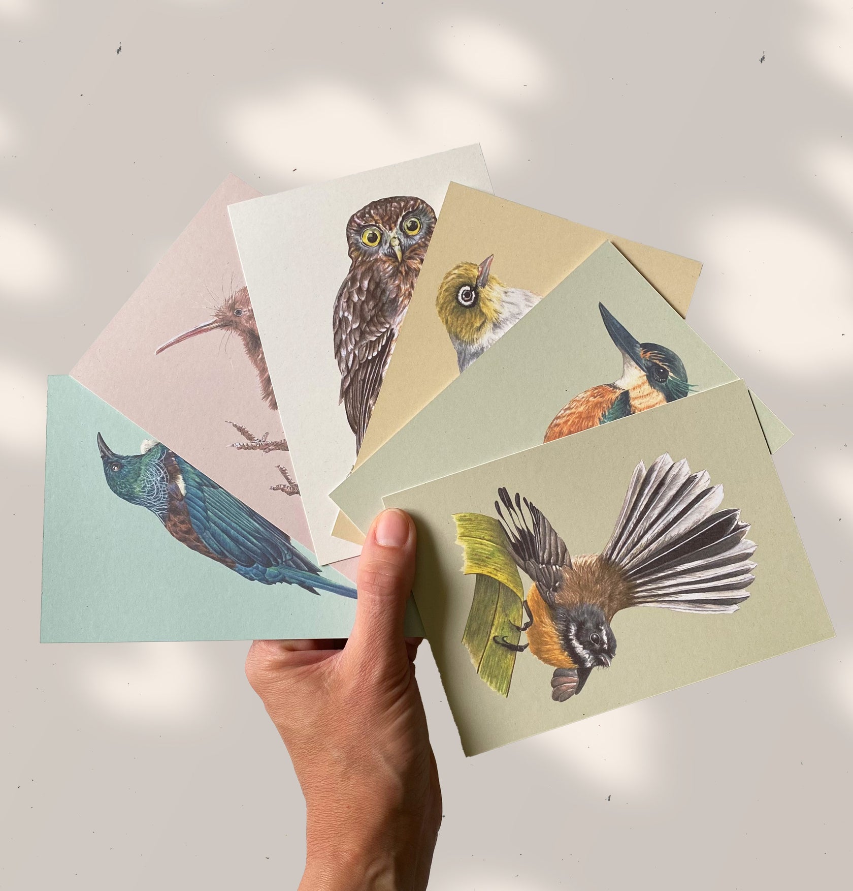 New Zealand native BIRDS POSTCARDS – the-sewing-sailor